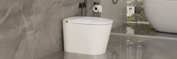 Sanyipace Toliet | Advanced Smart Toilets for Modern Homes – Sanyipace ...